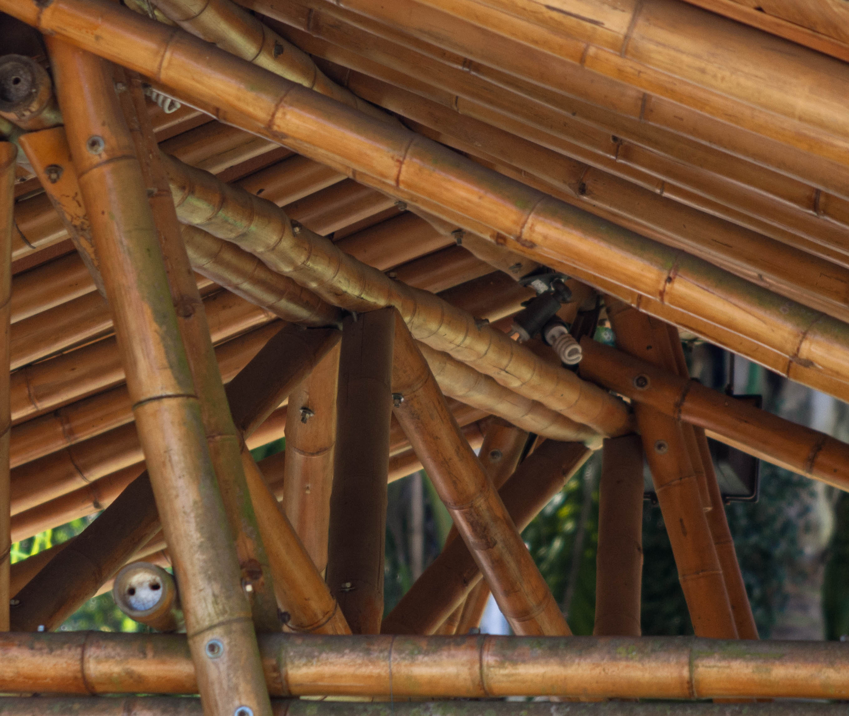 Taller de estructuras con Bambú – centro sustentable